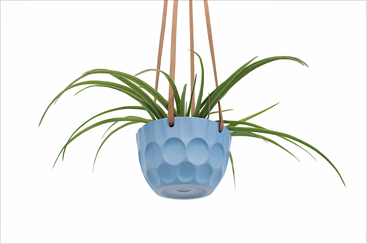 Planters – Tiny Badger Ceramics