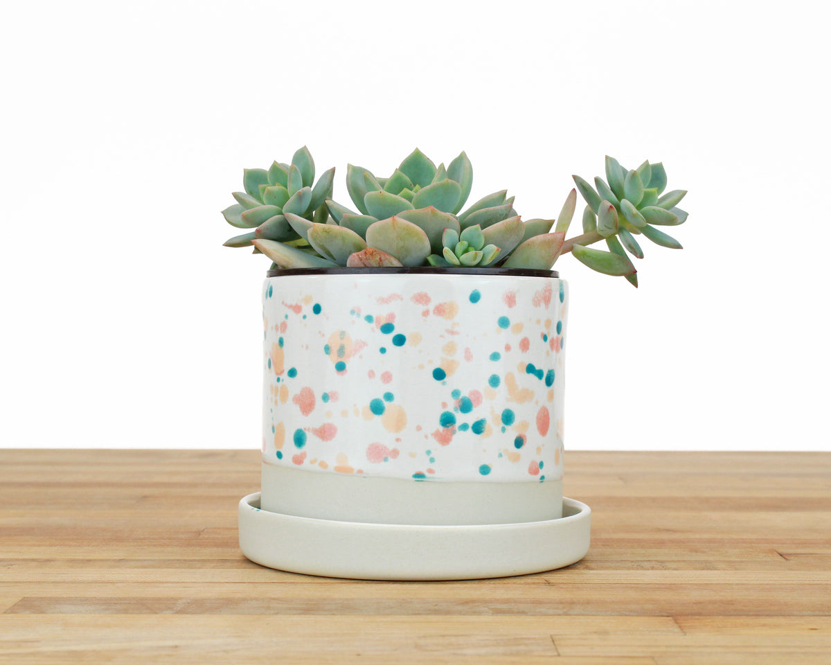 4 inch Spotted Glaze Cylinder Planter with Saucer – Tiny Badger Ceramics