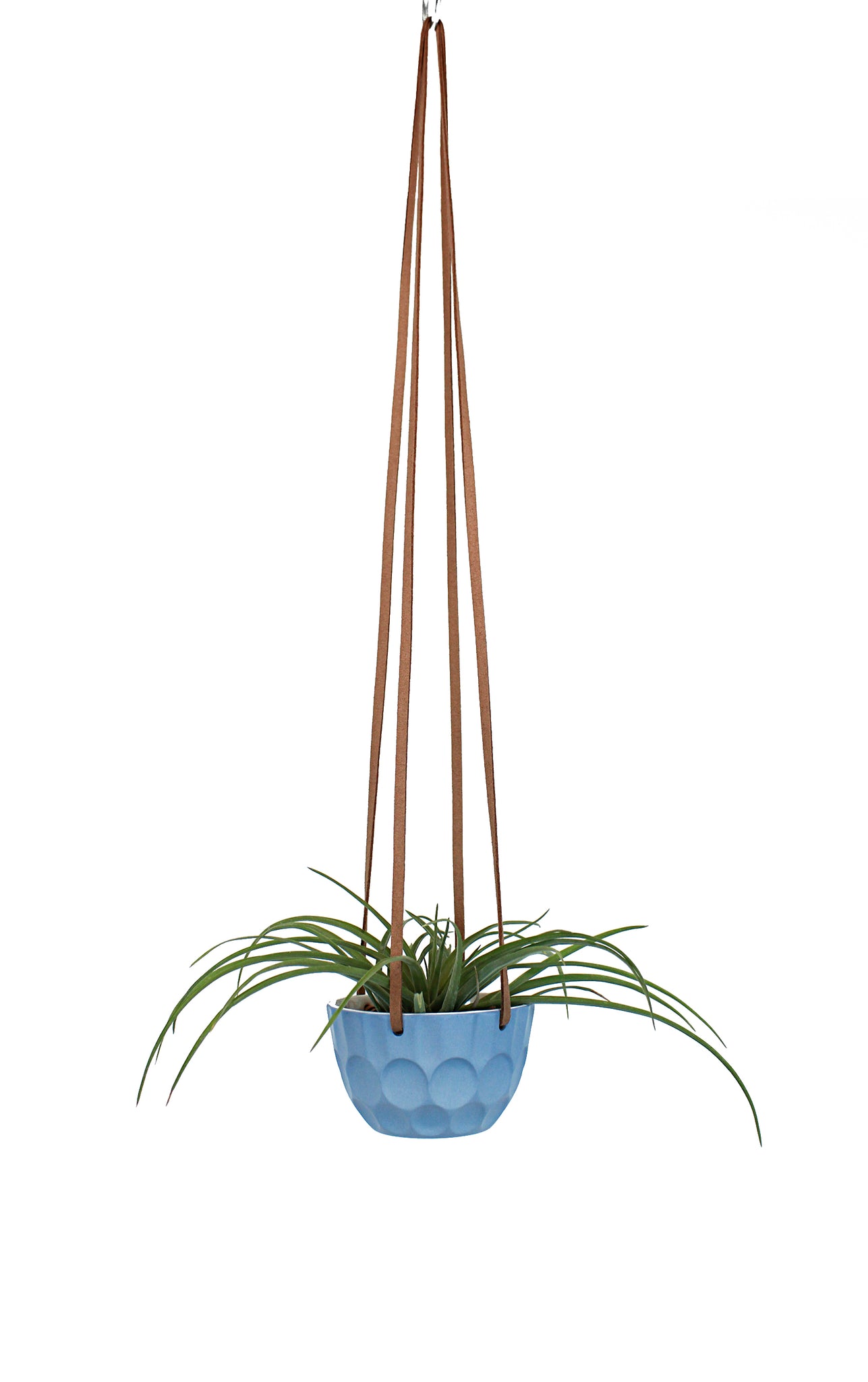 Hanging Planter - Mini – Tiny Badger Ceramics