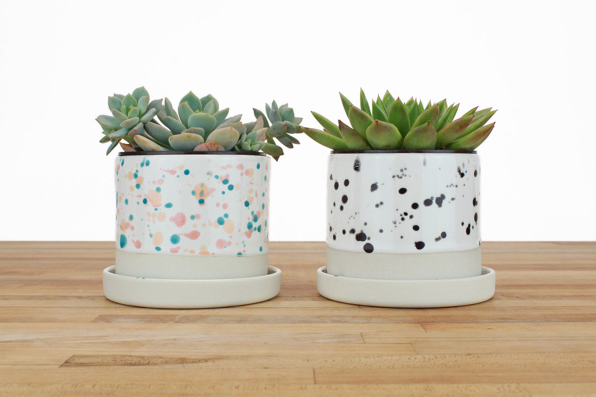 4 inch Spotted Glaze Cylinder Planter with Saucer – Tiny Badger Ceramics